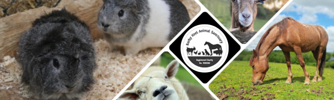 Donate to Barby Keel Animal Sanctuary - Give as you Live Donate